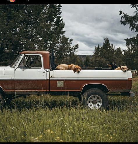 Pin By Abi Okane On Life Inspo Classic Trucks Vintage Trucks Dream Cars