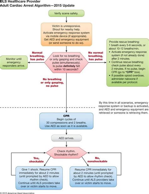 Aha 2015 Adult Bls Algorithm Soporte Vital Básico Rcp Basico