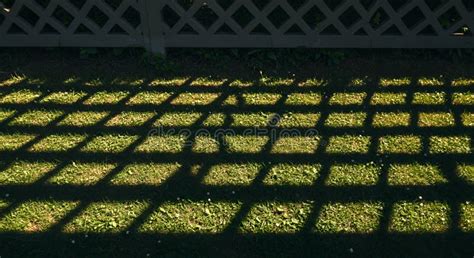 Shadows On Grass Creating A Grid Pattern From Wooden Structure Stock Image Image Of Detail