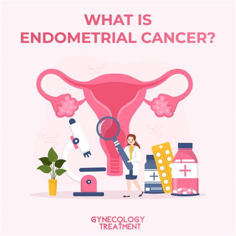 What Is Endometrial Compaction At Collette Brown Blog