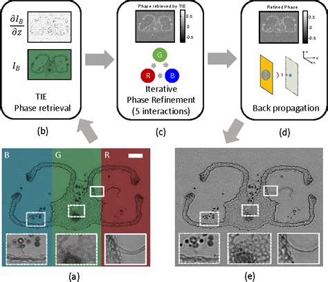 Figure 1 From Lensless Phase Microscopy And Diffraction Tomography With Multi Angle And Multi