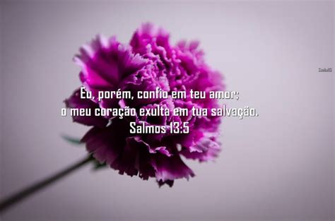 Salmo 13