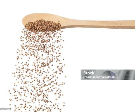 고수풀 씨앗이 나무 숟가락에서 떨어지고 갈색 고수풀 씨앗이 폭발하고 추상 구름이 날아갑니다 말린 고수풀 씨앗이 공기 중에 튀어