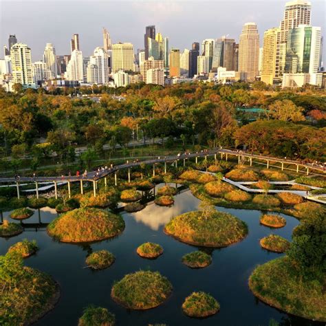 🧩 Towards A Deeper Biomimicry How Can Architects Design To Align With