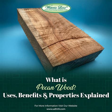 What Is Pecan Wood Uses Benefits And Properties Explained 2026 Guide