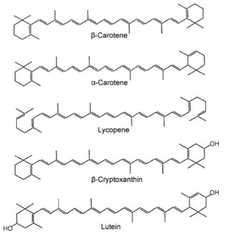 Chemical Structure Of Several Carotenoids Download Scientific Diagram