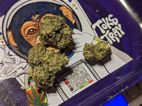 Come And Toke It Sex Panther Review In Comments Rcultofthefranklin