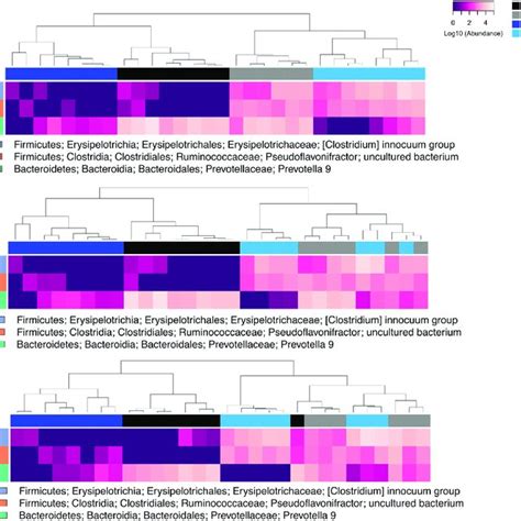Hierarchical Clustering Of Differentially Abundant Species Within The Download Scientific