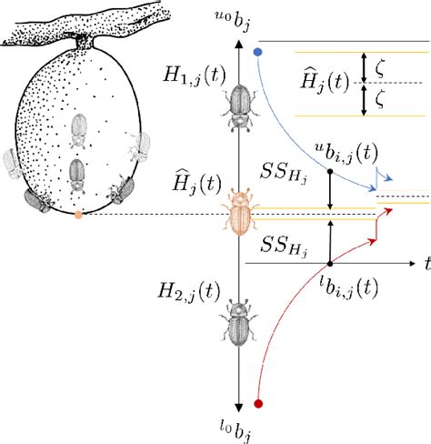 figure 2 from phymastichus hypothenemus based algorithm for optimal