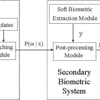 Integration Of Soft Biometric Traits With A Primary Biometric System X Download Scientific