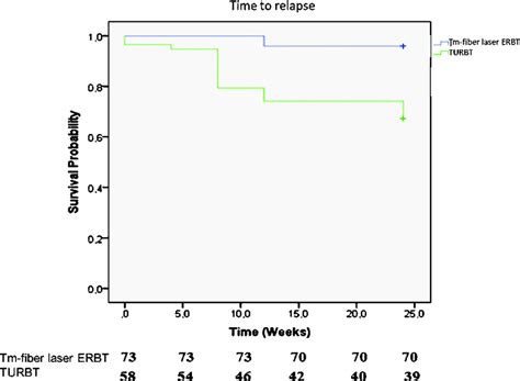 Kaplan Meier Analysis For Relapse Free Survival Download Scientific