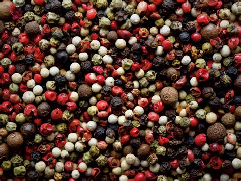 Pfeffer Lieferant Für Industrie Und Handel Henry Lamotte Food