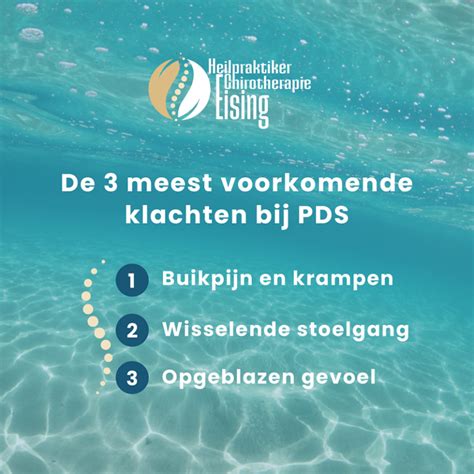 Met Welke Vraag Kwam Wemeltje Eising Binnen Foryou Media