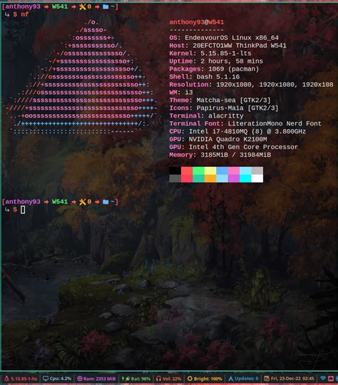 Default Colors In Xfce Terminal Not Being Readable At All Newbie Endeavouros