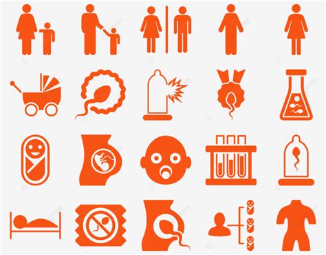 Medical Icon Set Penetration Sperm Treatment Woman PNG Transparent Image And Clipart For Free