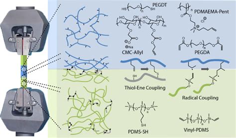 Schematic Representation Of The Structure Of The Hybrid Download