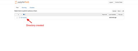 dynamically launch jupyter notebook after logging into jupyterhub