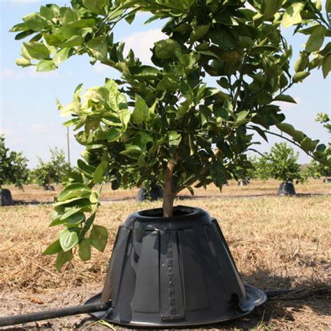 Tree T Pee Shark Tank Shopper