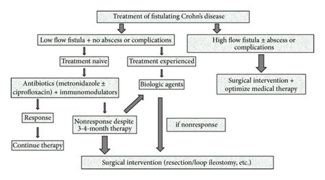 Algorithm For Management Of Fistulating Crohns Disease Download Scientific Diagram