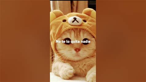 🥺like Pliss🥺 Youtube