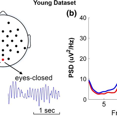 Alpha Oscillations During Ec And Eo Resting State In Young Adults A Download Scientific