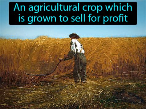 Cash Crop Definition And Image Gamesmartz