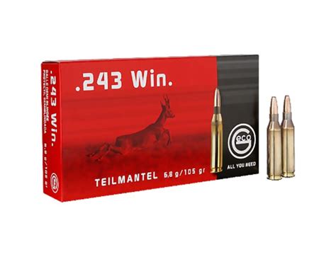243 Win 105 Grain Teilmantel