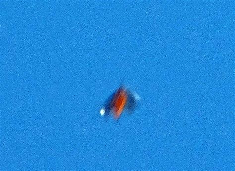 red craft with attached sphere i was sky watching when i spotted an… by johnmooner chief