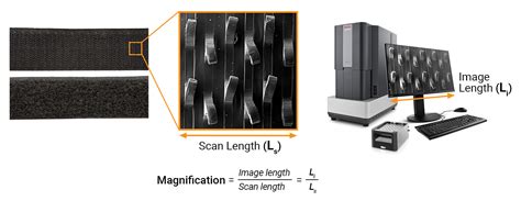Understanding The Difference Between Magnification And Resolution In Scanning Electron