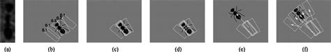 particle filter tracking a the appearance model used in tracking download scientific diagram
