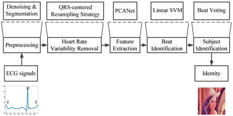 A Novel Heart Rate Robust Method For Short Term Electrocardiogram Biometric Identification