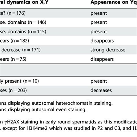 Histone Variant And Histone N Tail Modification Dynamics At Meiotic And