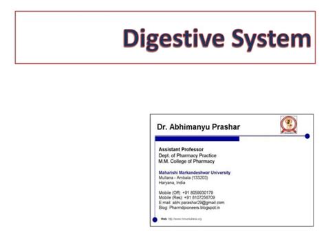 Accessory Organs Of Digestive System Pptx