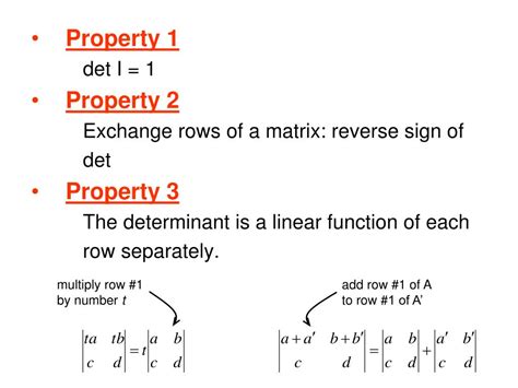 Orthogonal Matrix With Determinant 1 At Jerome Belcher Blog