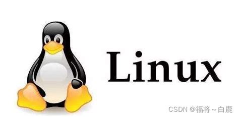 linux大文件分割技巧：按篇章、行数及大小操作指南 csdn博客