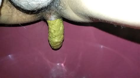 Poop Scat Great Wall