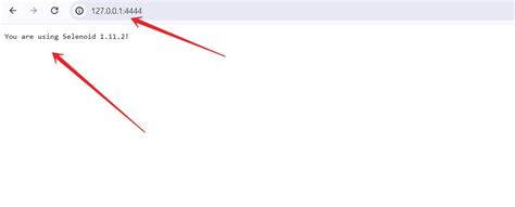 13 selenoid qa guru knowledge base github wiki