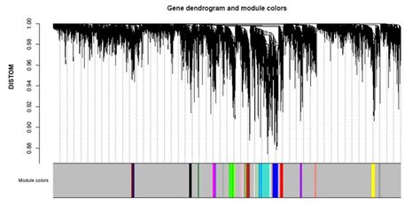 Hierarchical Cluster Dendrogram And The Identification Of Co Expressed