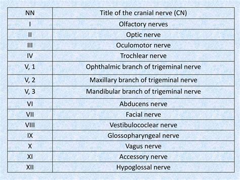 Midbrain Diencephalon Pptx