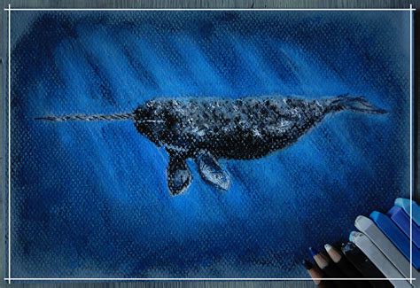 Mythical Creatures 奇禽異獸 Narwhal 獨角鯨 On Behance