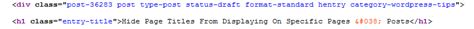 Hide Page Titles From Displaying On Specific Pages And Posts Using Css Code