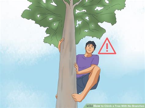 How To Climb A Tree With No Branches