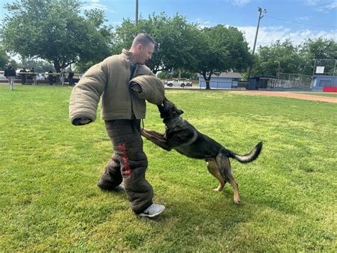 Upcoming Courses Meyers Police K 9 Training Llc