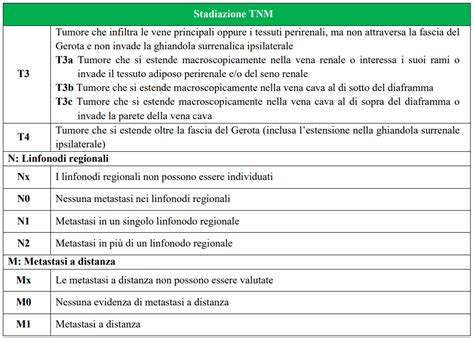 TNM Rene Appunti Di Un Giovane Radiologo
