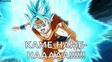 Dragon Ball Kamehameha S Tenor