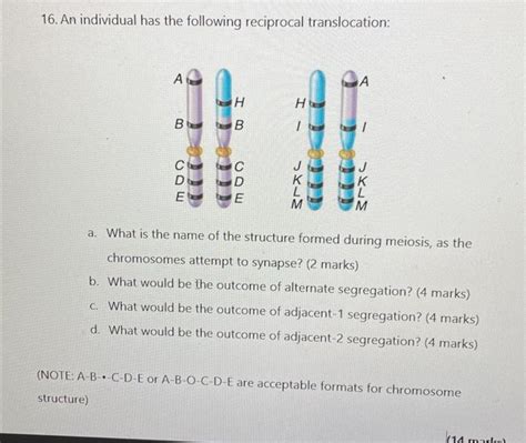 16 An Individual Has The Following Reciprocal