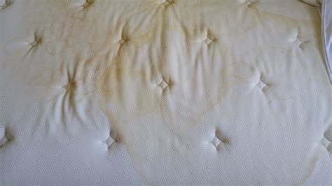 Sloppy Rachel Wet The Bed Friday Diapered Experiences Omorashi