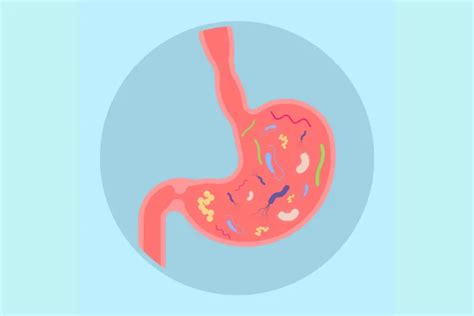 C Diff Diet Foods To Eat And Avoid Activebeat Your Daily Dose Of Health Headlines