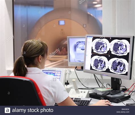 Ebook Computational Mind A Complex Dynamics Perspective