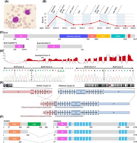 Disease Course And Molecular Basis A Bone Marrow Bm Morphology Download Scientific Diagram